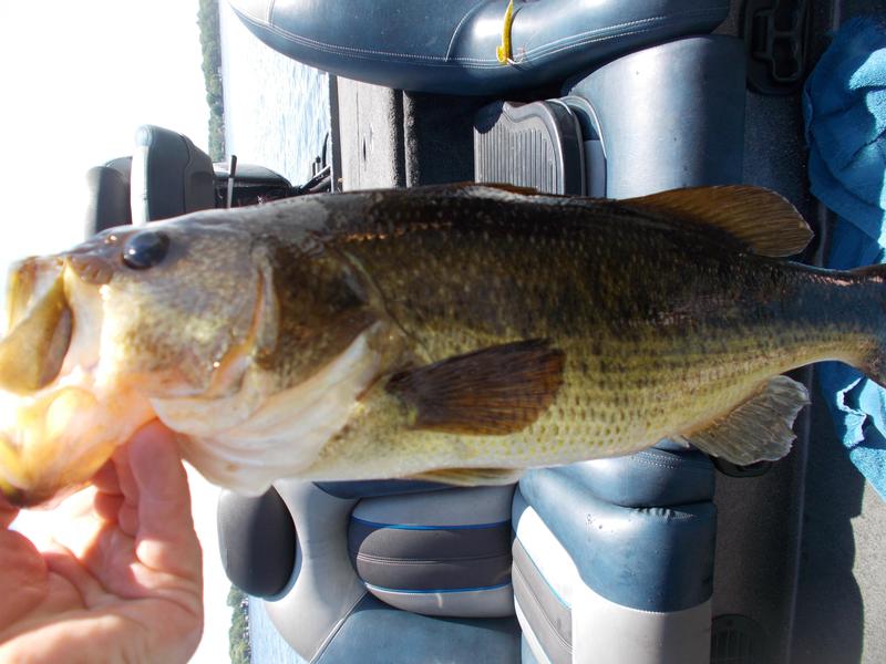 Pretty Lake (WI) – Fishing, Map & Access | Lake-Link
