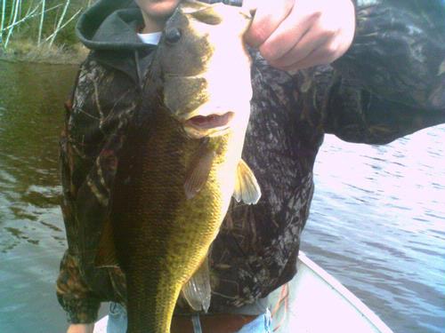 Solberg Lake (WI) – Fishing, Map & Access | Lake-Link