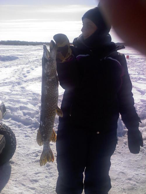 Wind Lake (WI) – Fishing, Map & Access | Lake-Link