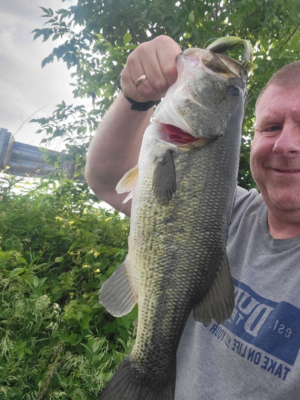 Delavan Lake (WI) – Fishing, Map & Access | Lake-Link