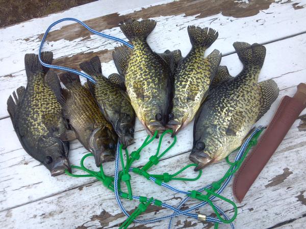 Left Foot Lake (WI) – Fishing, Map & Access | Lake-Link