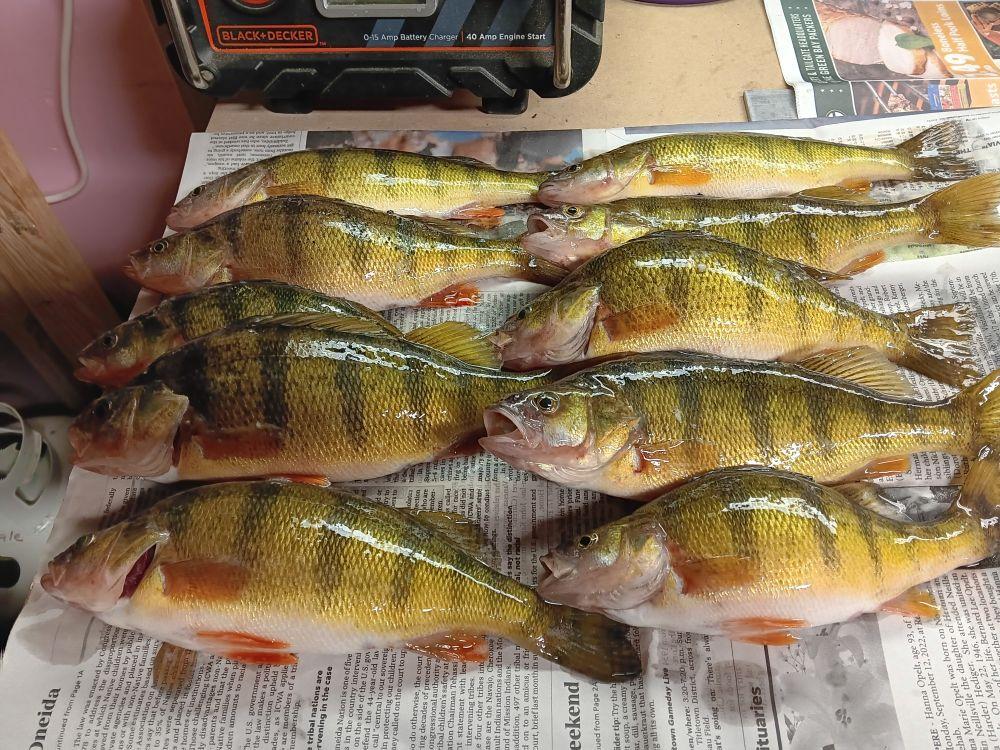 Lake Winnebago (WI) – Fishing, Map & Access | Lake-Link