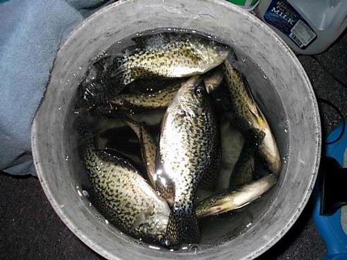 Shadow Lake (WI) – Fishing, Map & Access | Lake-Link