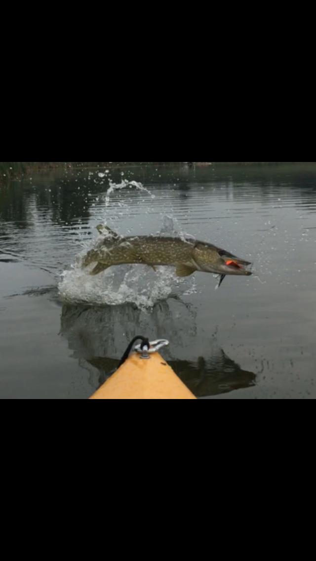 Lake-Link Photo Gallery