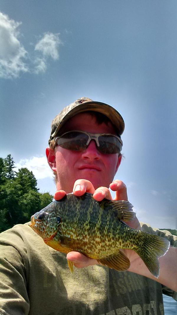 Archibald Lake (WI) – Fishing, Map & Access | Lake-Link