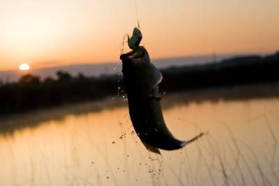 Big Muskego Lake (WI) – Fishing, Map & Access | Lake-Link