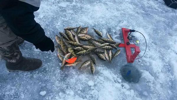 Puckaway Lake (WI) – Fishing, Map & Access | Lake-Link