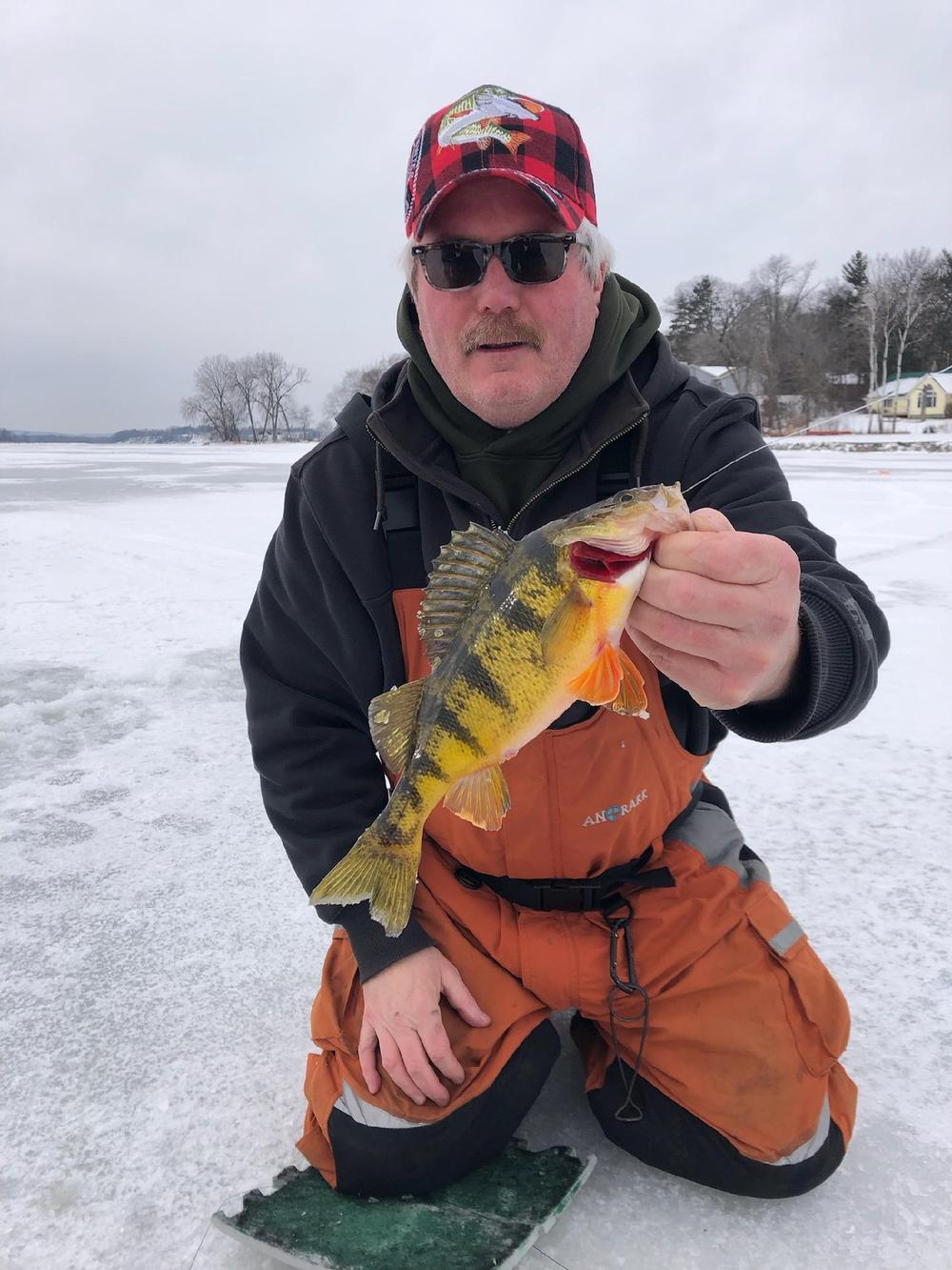 Swan Lake (WI) – Fishing, Map & Access | Lake-Link