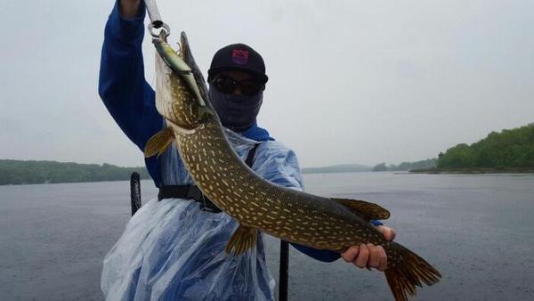 Long Lake (WI) – Fishing, Map & Access | Lake-Link