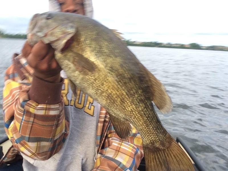 Ford Lake (MI) – Fishing, Map & Access | Lake-Link