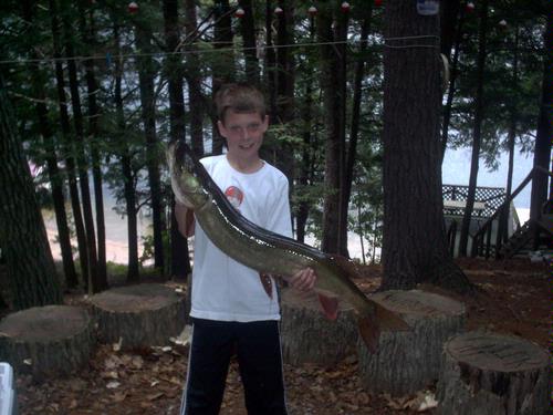 Archibald Lake (WI) – Fishing, Map & Access | Lake-Link