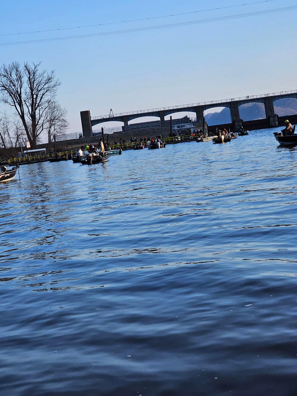 Mississippi River Pool 9 - Genoa - Wisconsin Fishing Reports