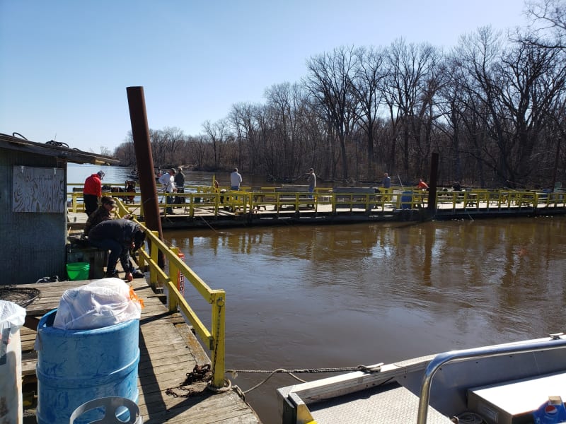Mississippi River Pool 9 - Genoa - Wisconsin Fishing Reports and ...