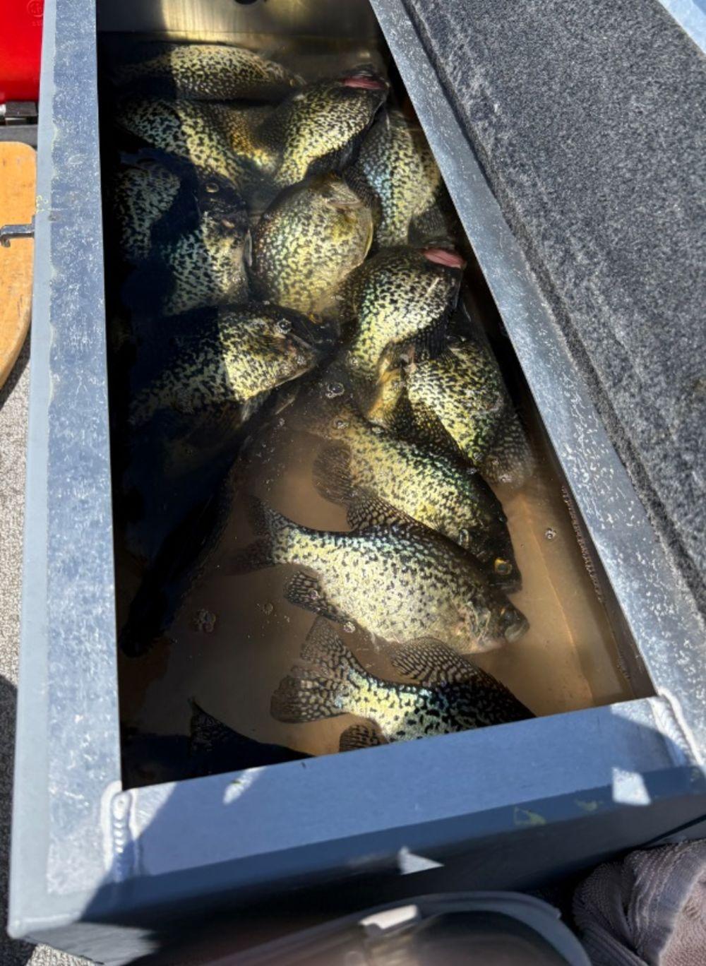 Big Muskego Lake - Wisconsin Fishing Reports