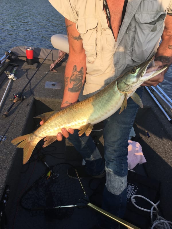 Busse Lake, Cook County - Illinois Fishing Reports and Discussions