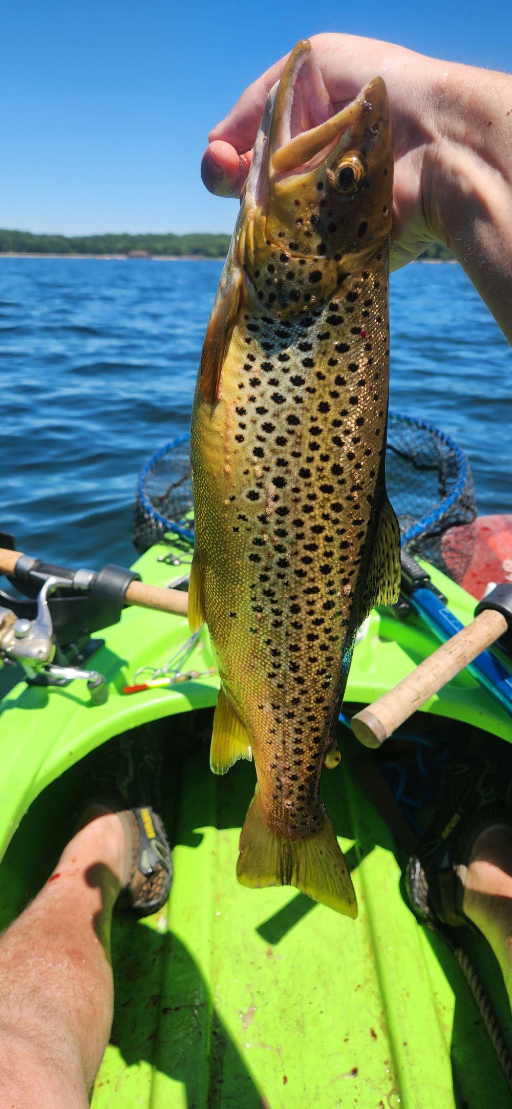 Devils Lake (Devils Lake State Park In Baraboo) - Wisconsin Fishing Reports