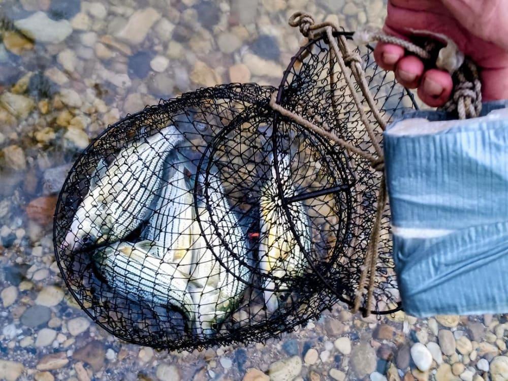 Lake Como - Wisconsin Fishing Reports