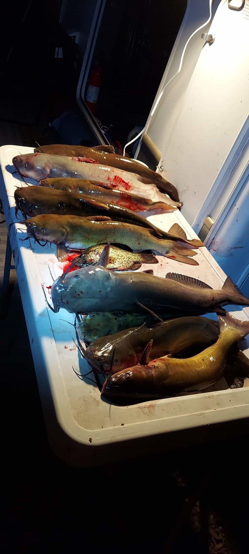 Lake Puckaway - Wisconsin Fishing Reports