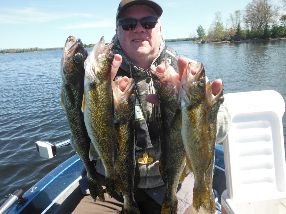 Turtle Flambeau Flowage - Wisconsin Fishing Reports