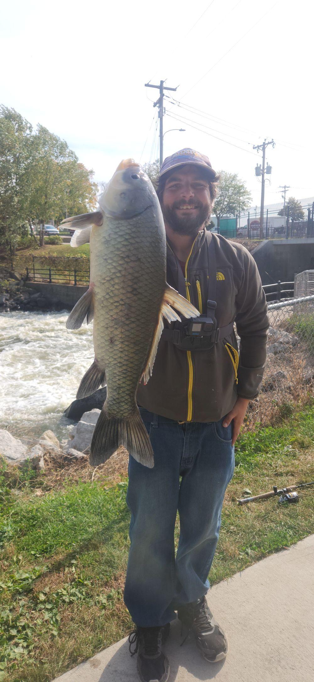 Beaver Dam Lake - Wisconsin Fishing Reports