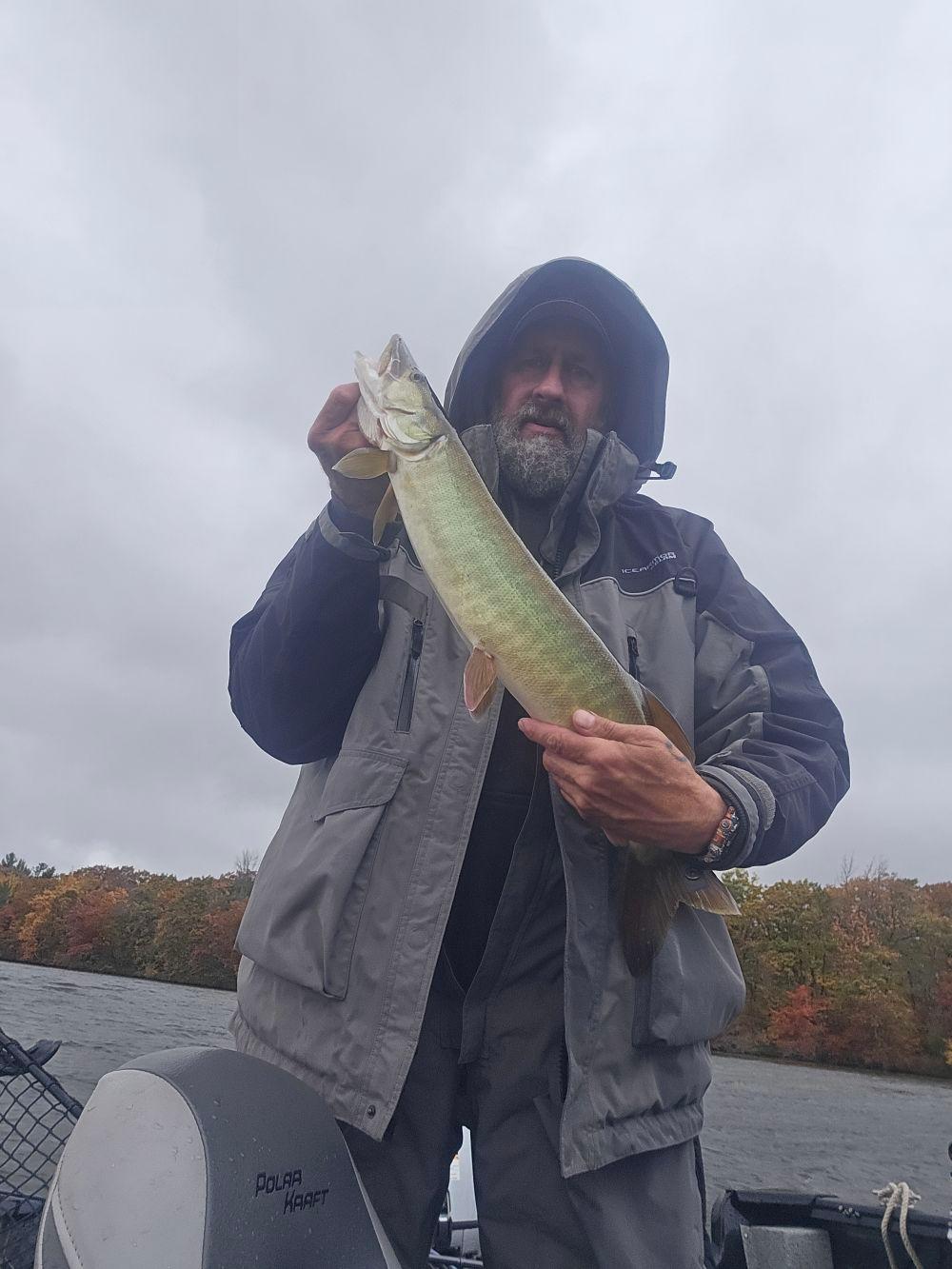 Lake Holcombe Flowage - Wisconsin Fishing Reports
