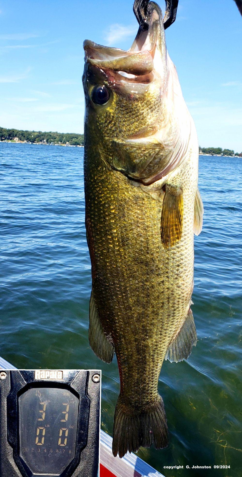 Delavan Lake - Wisconsin Fishing Reports