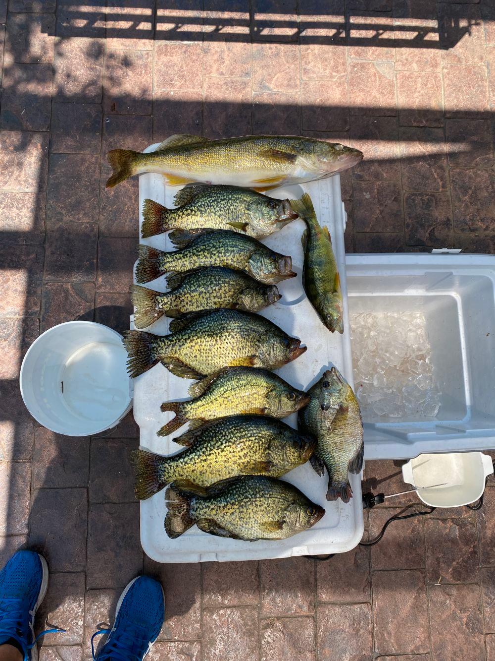 Delavan Lake - Wisconsin Fishing Reports