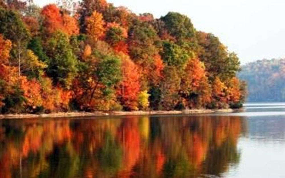 Delavan Lake - Wisconsin Fishing Reports
