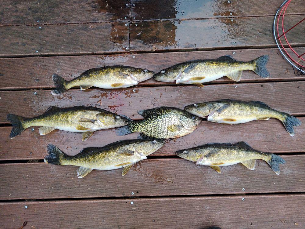 Vilas County Lakes - Wisconsin Fishing Reports