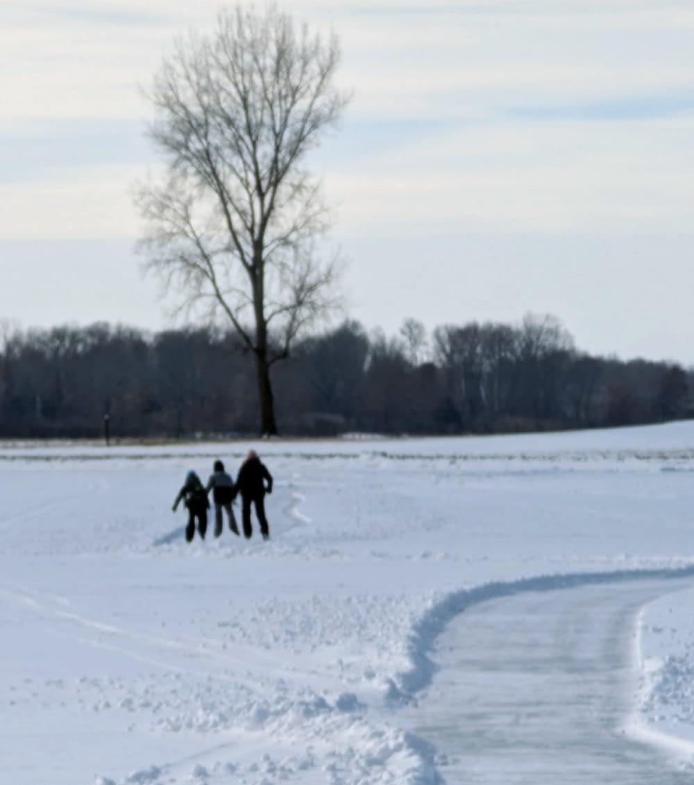Swan Lake - Wisconsin Fishing Reports