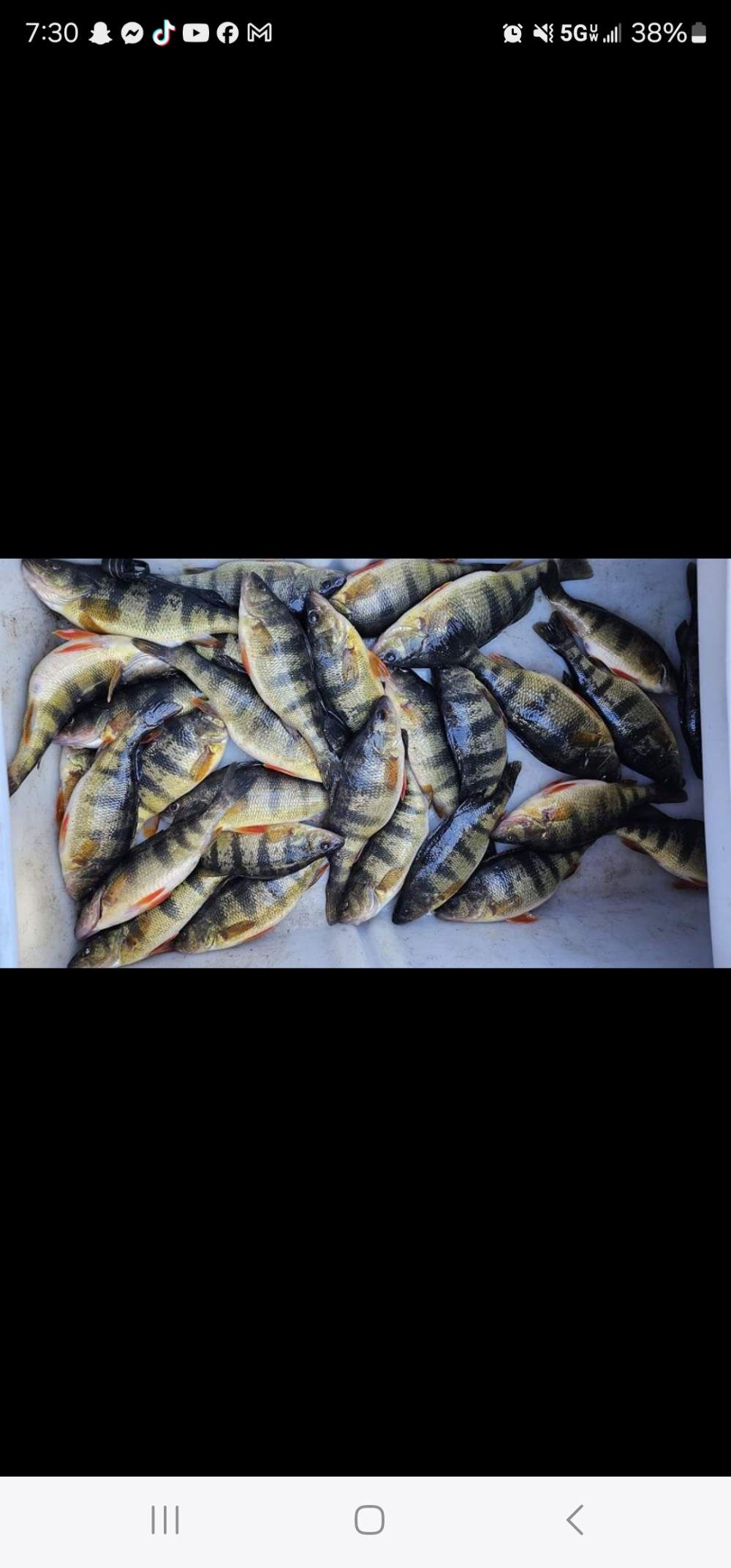 Mississippi River Pool 8 - LaCrosse - Wisconsin Fishing Reports