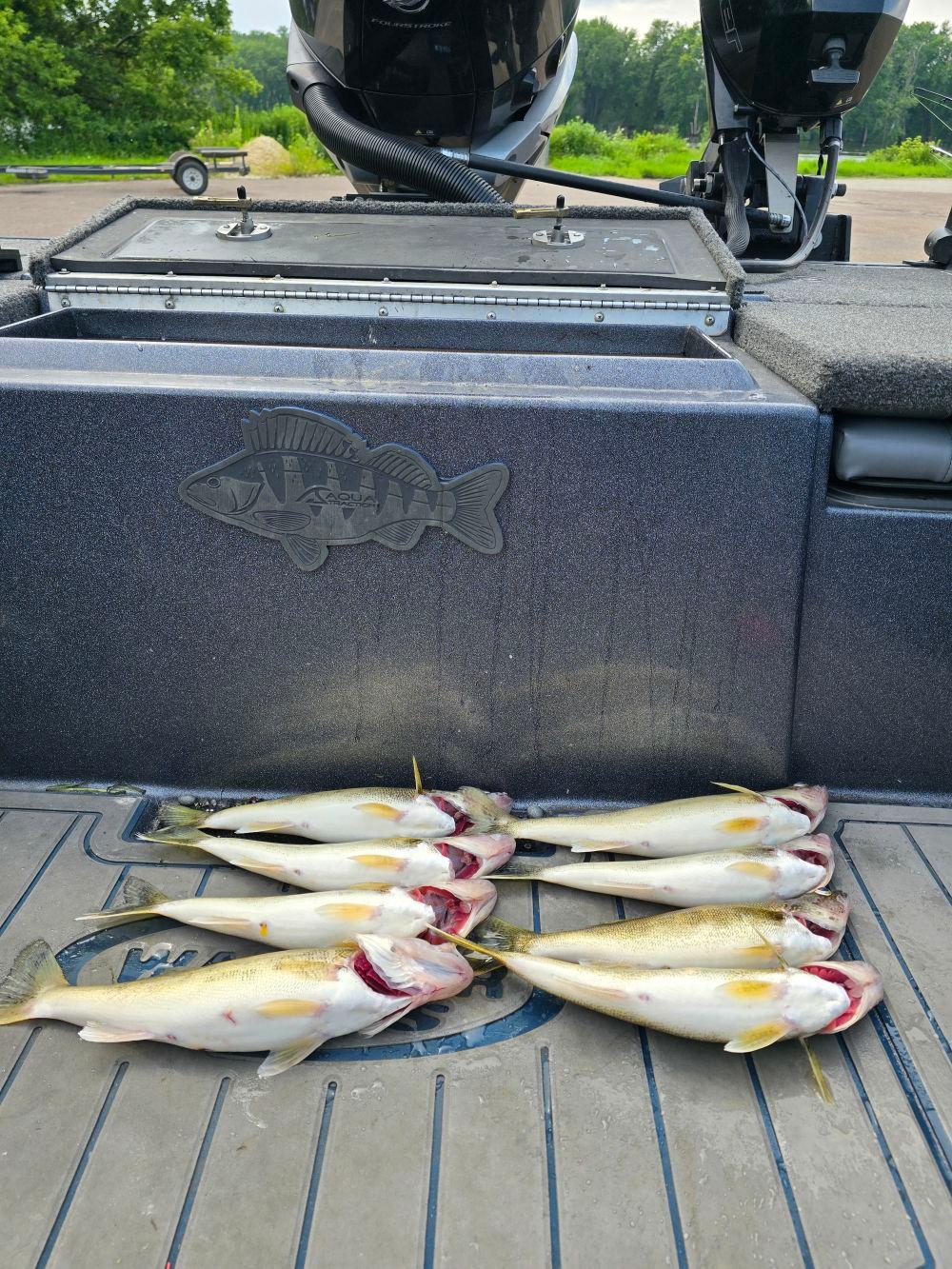 Mississippi River Pool 8 - LaCrosse - Wisconsin Fishing Reports