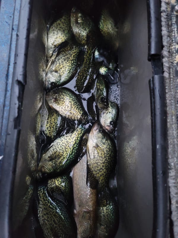 Mississippi River Pool 8 - LaCrosse - Wisconsin Fishing Reports and ...