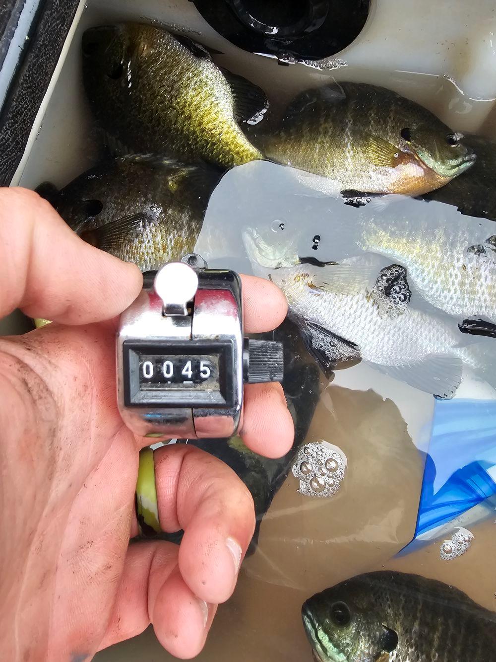 Mississippi River Pool 8 - LaCrosse - Wisconsin Fishing Reports