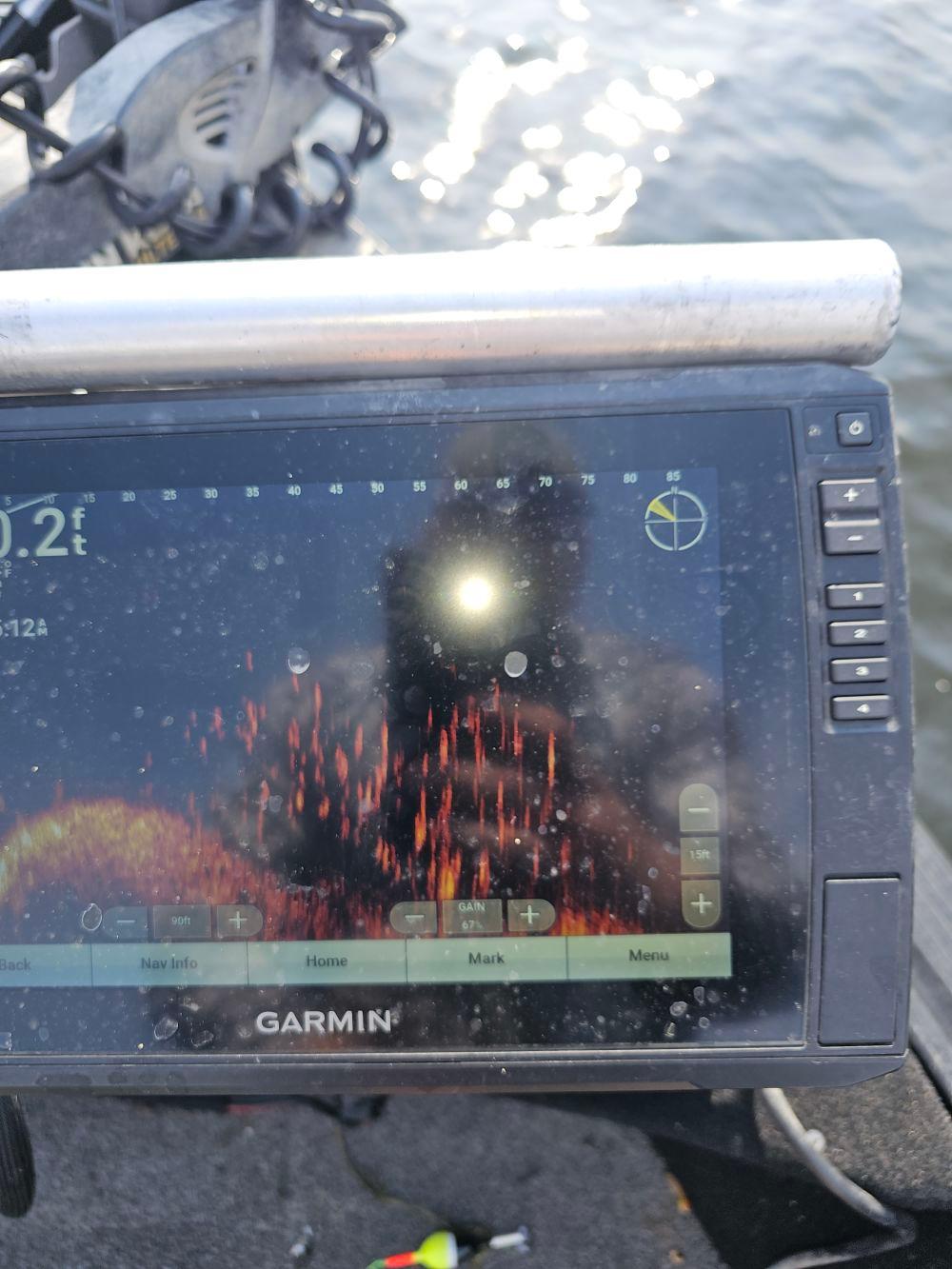 Mississippi River Pool 8 - LaCrosse - Wisconsin Fishing Reports
