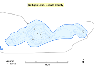 Nelligan Lake (WI) – Fishing, Map & Access | Lake-Link